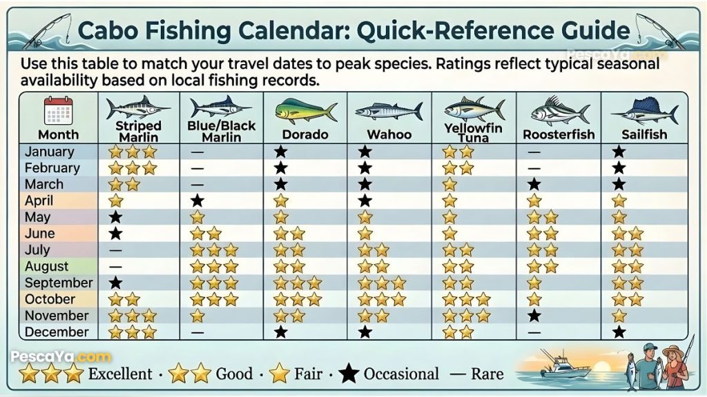 Cabo San Lucas Fishing Calendar: Best Time to Fish in Los Cabos