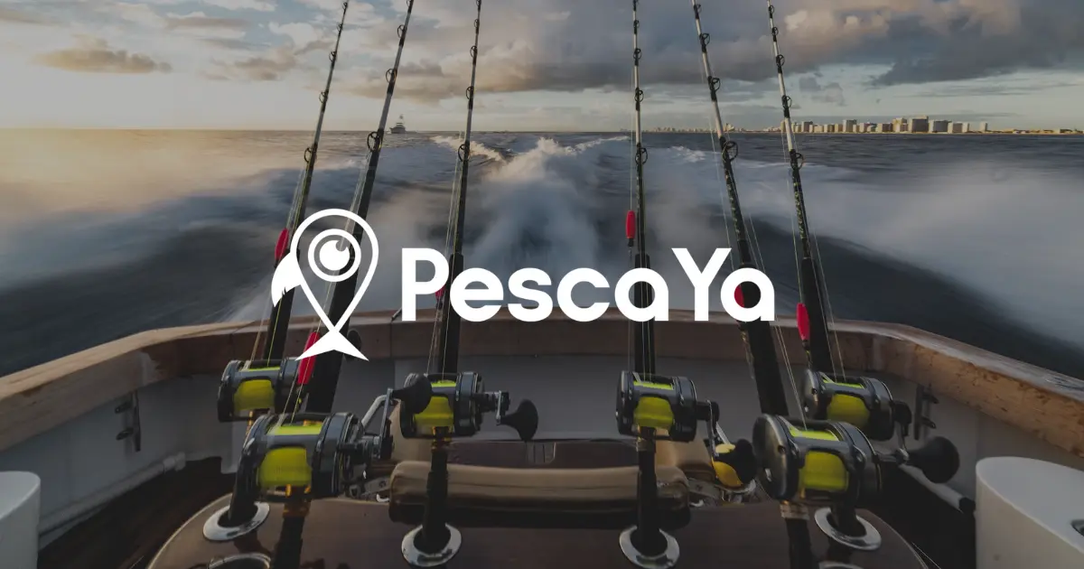 Pesca en Altamar - Mejores Lugares - PescaYa